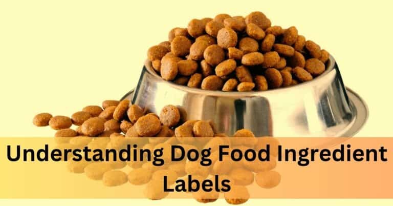 Understanding Dog Food Ingredient Labels - Paws R Pals